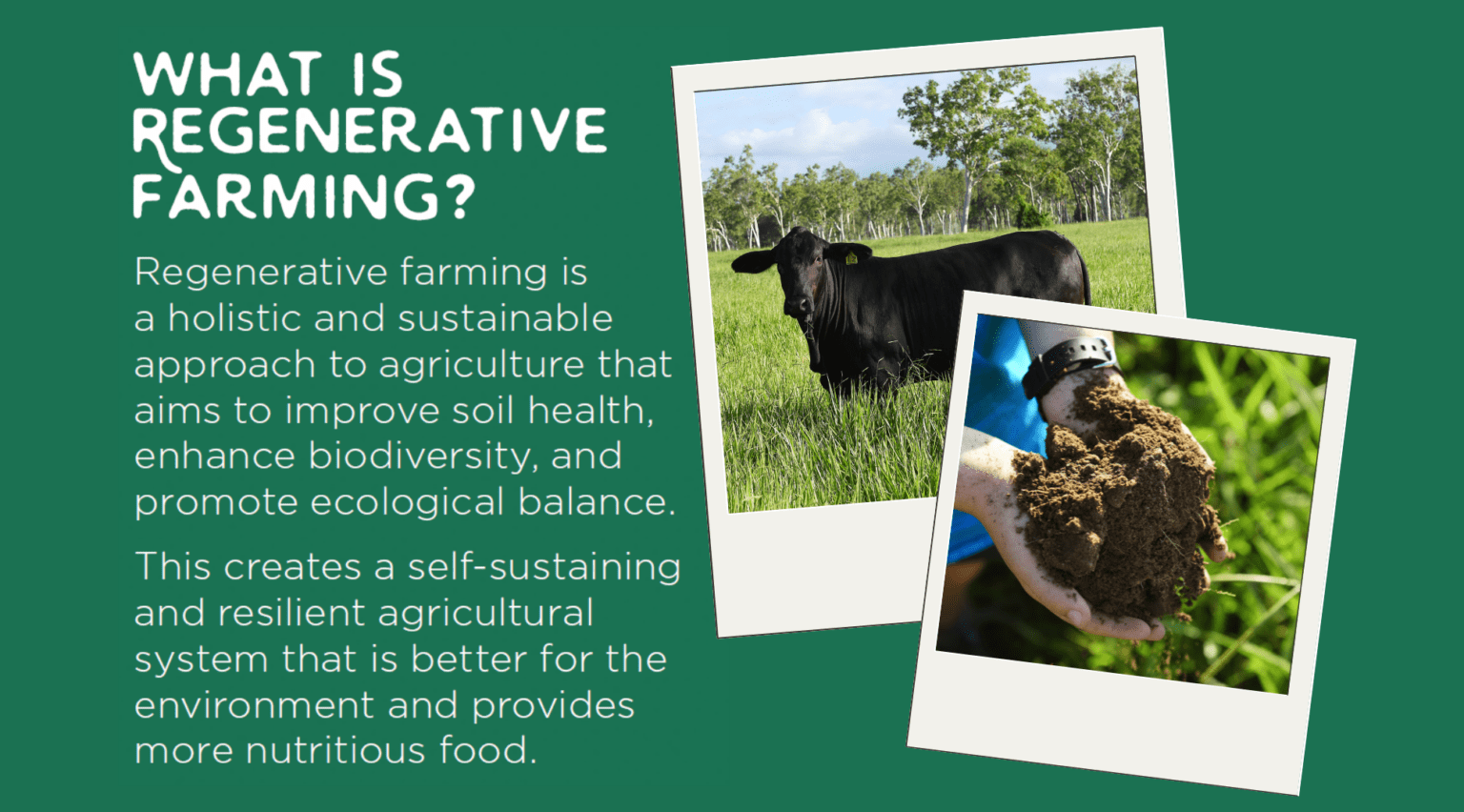 Pure Produce - Beefing Up Operations | BDmag April 2023